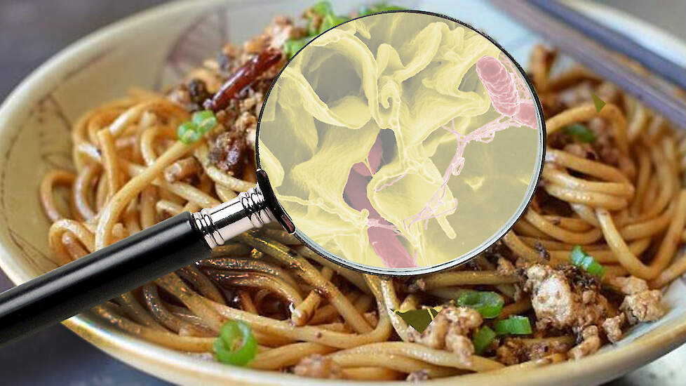 Bami grootste boosdoener voedselinfecties | Prikken in de voedselketen ...